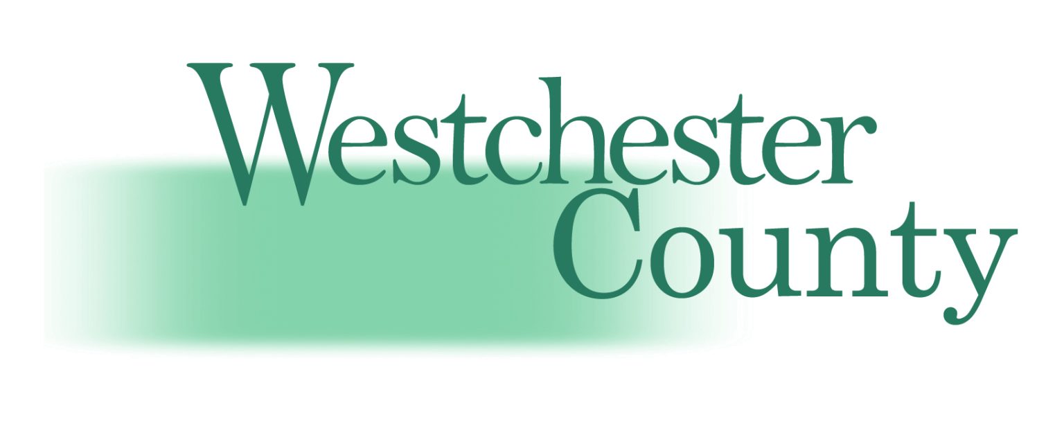 Voter Information for 2025 County Executive (Unexpired Term) Special ...